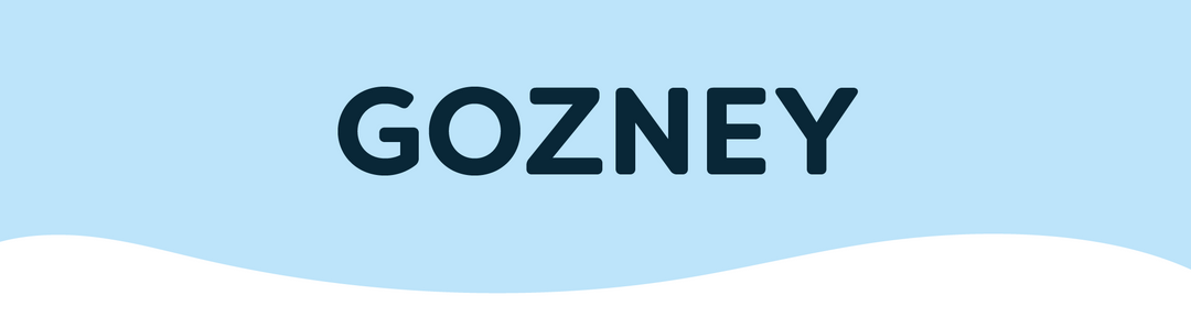 Gozney | Leisure Time Inc.
